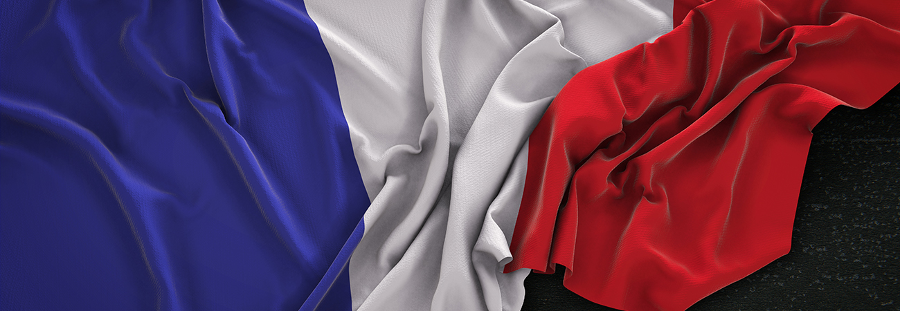 French Conversation Like a Native: Speak French with Confidence (Al Ain ...